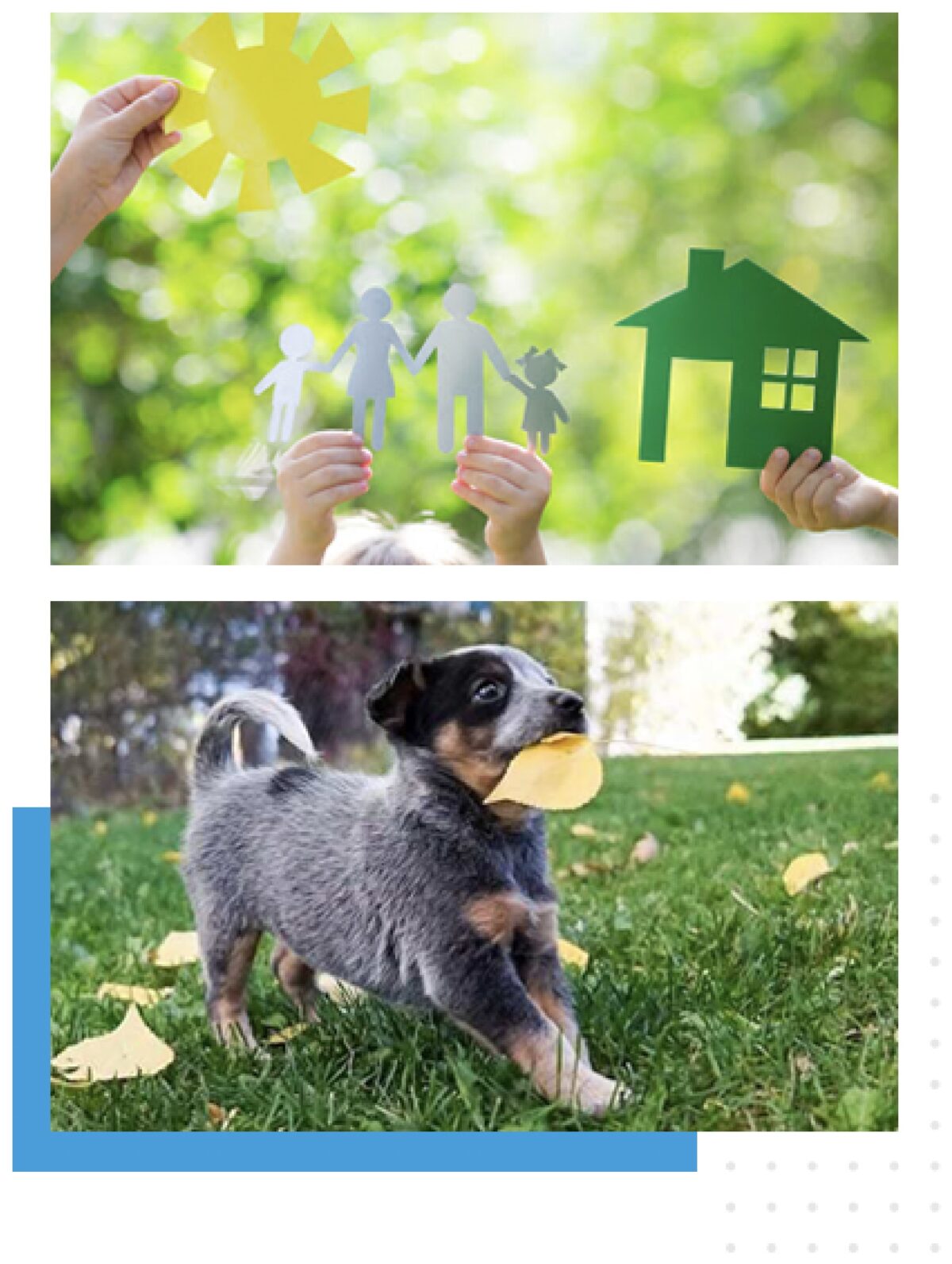 Crawl Space Systems – Coastal Environmental Group